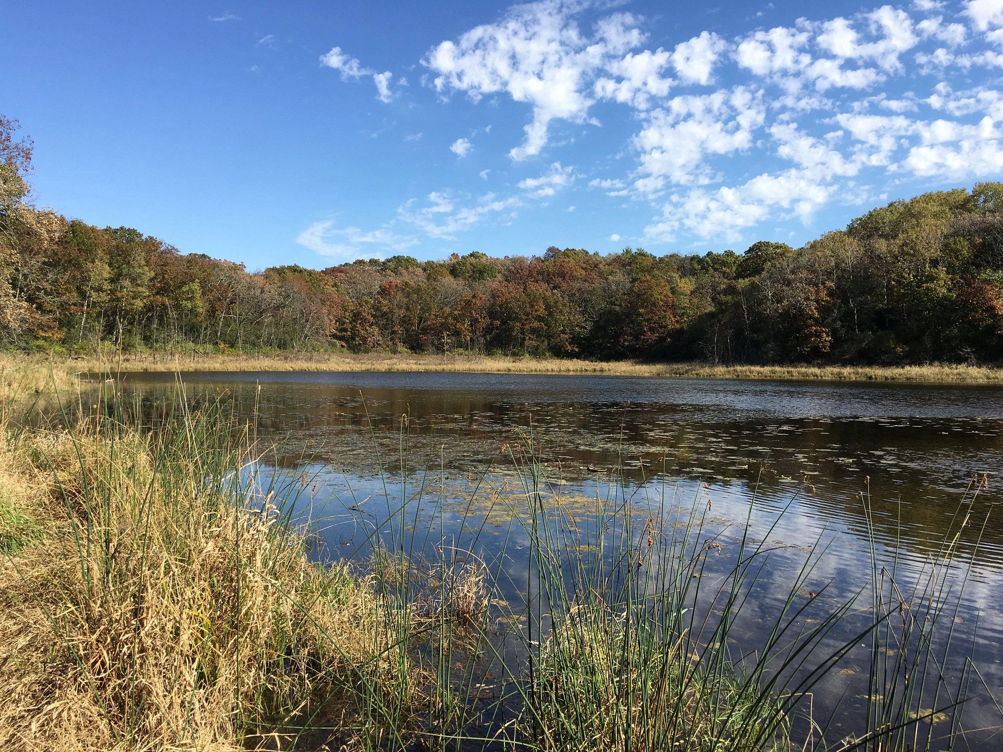 Frog Hike | Wisconsin DNR