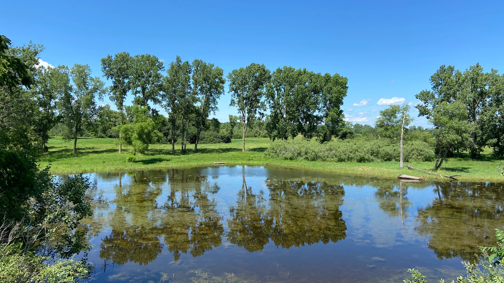 Storytime: Pond Life | Wisconsin DNR