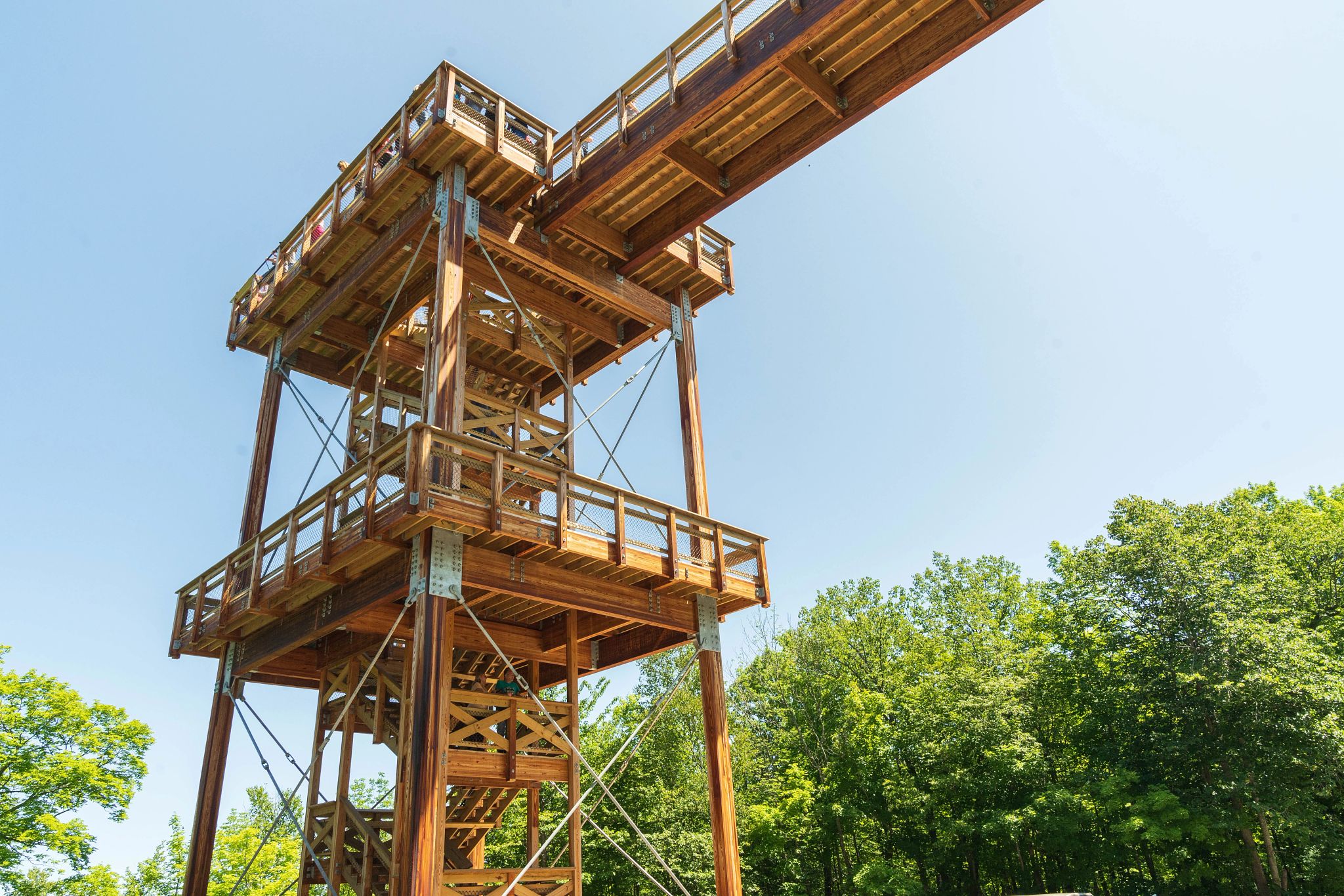 Top Of The Tower | Wisconsin DNR