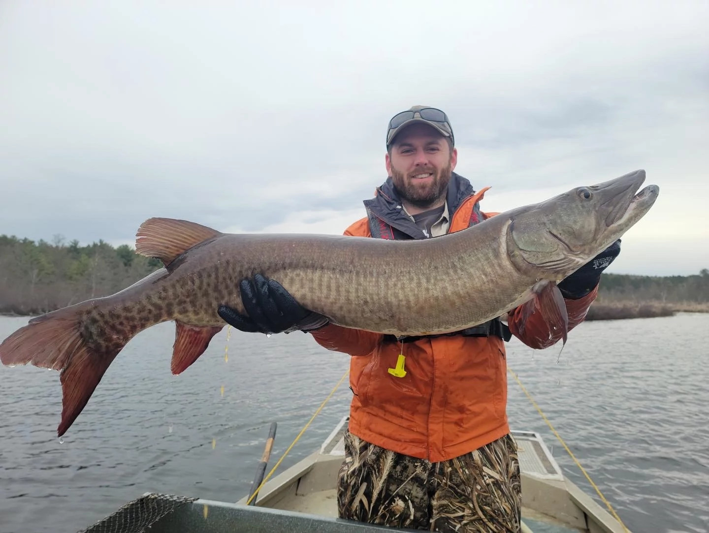 Northern Zone Musky Season Opens May 24 | Wisconsin DNR