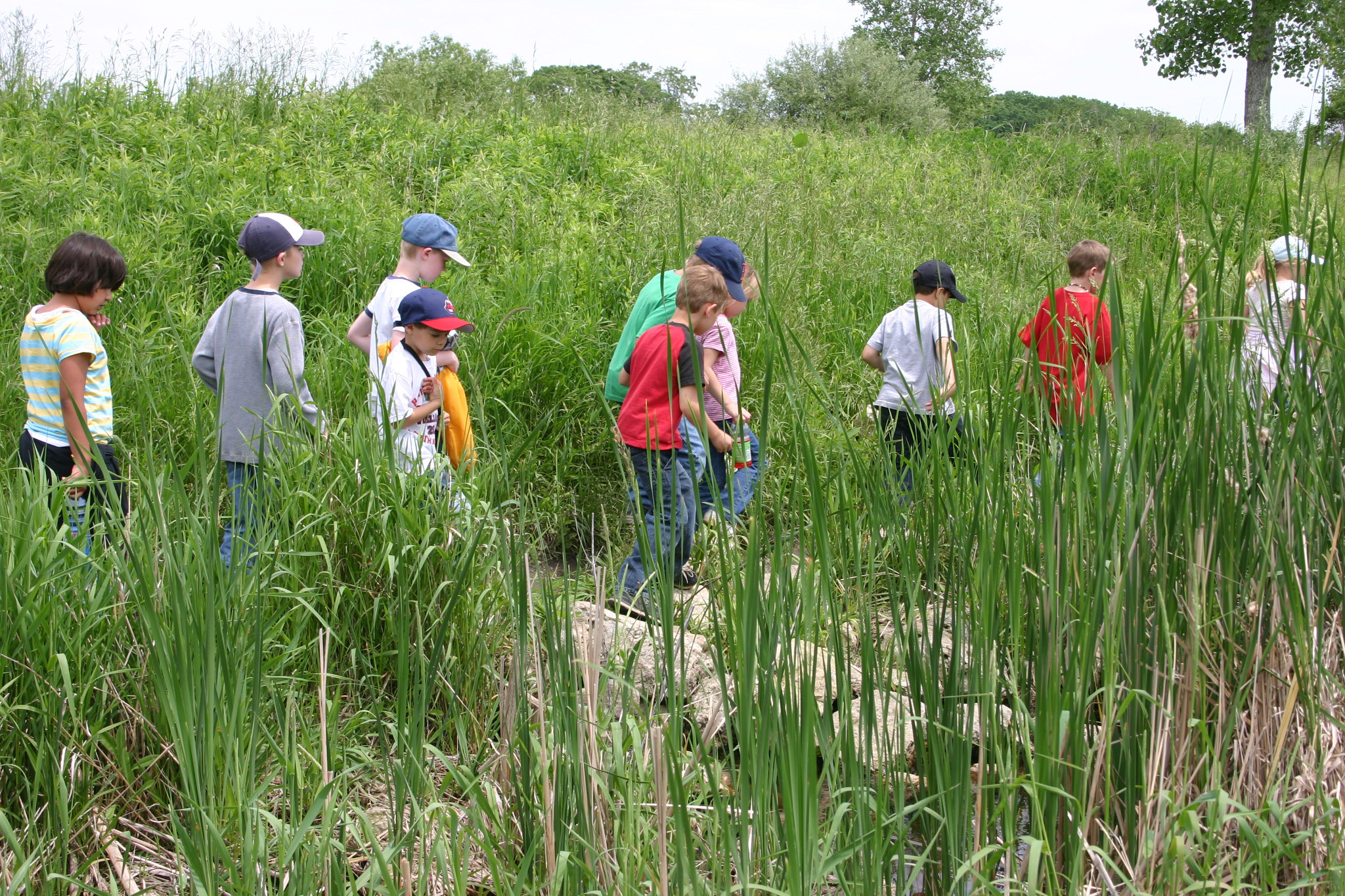 Earth Day Hike | Wisconsin DNR