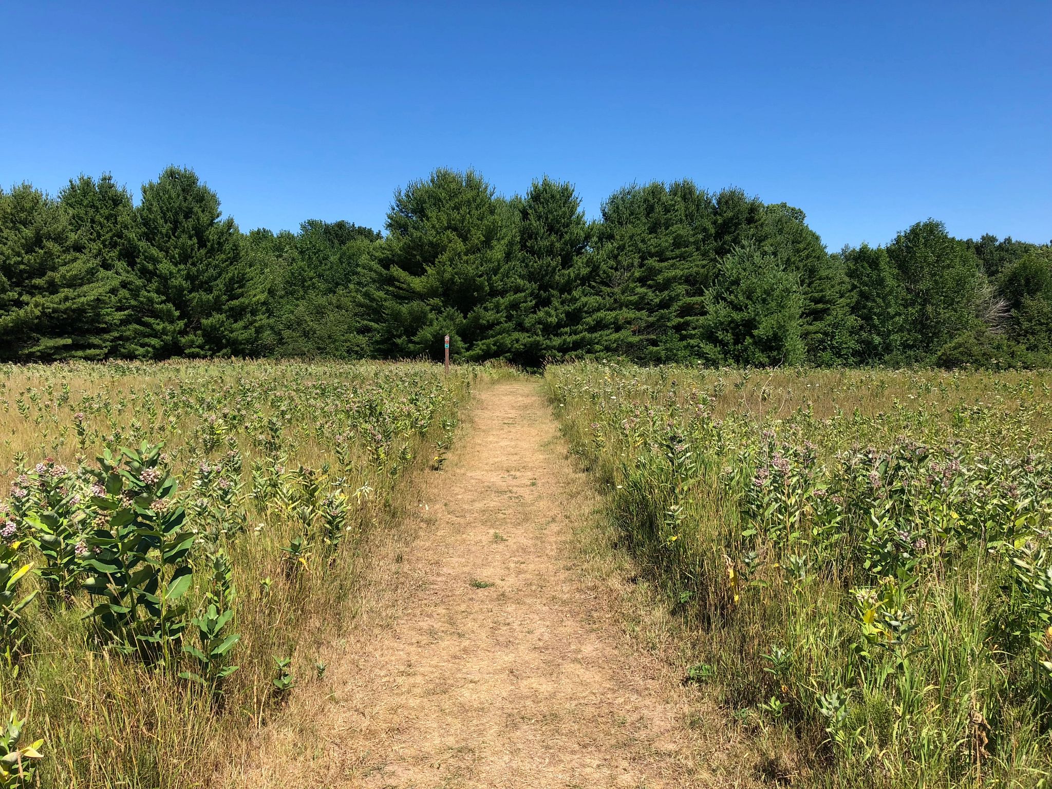 Marsh Walk | Wisconsin DNR