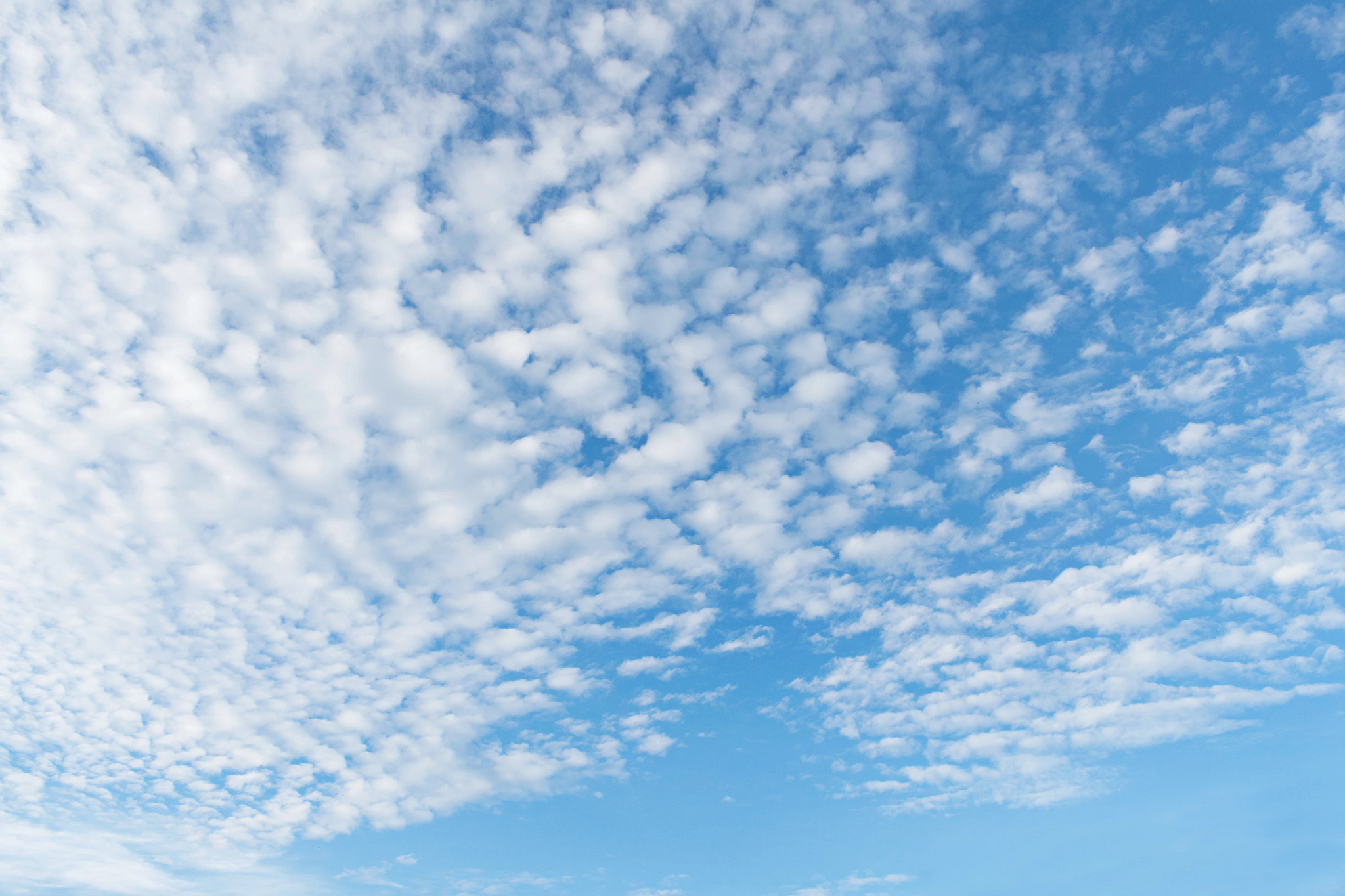 DNR Launches Updated Air Quality Data Map | Wisconsin DNR