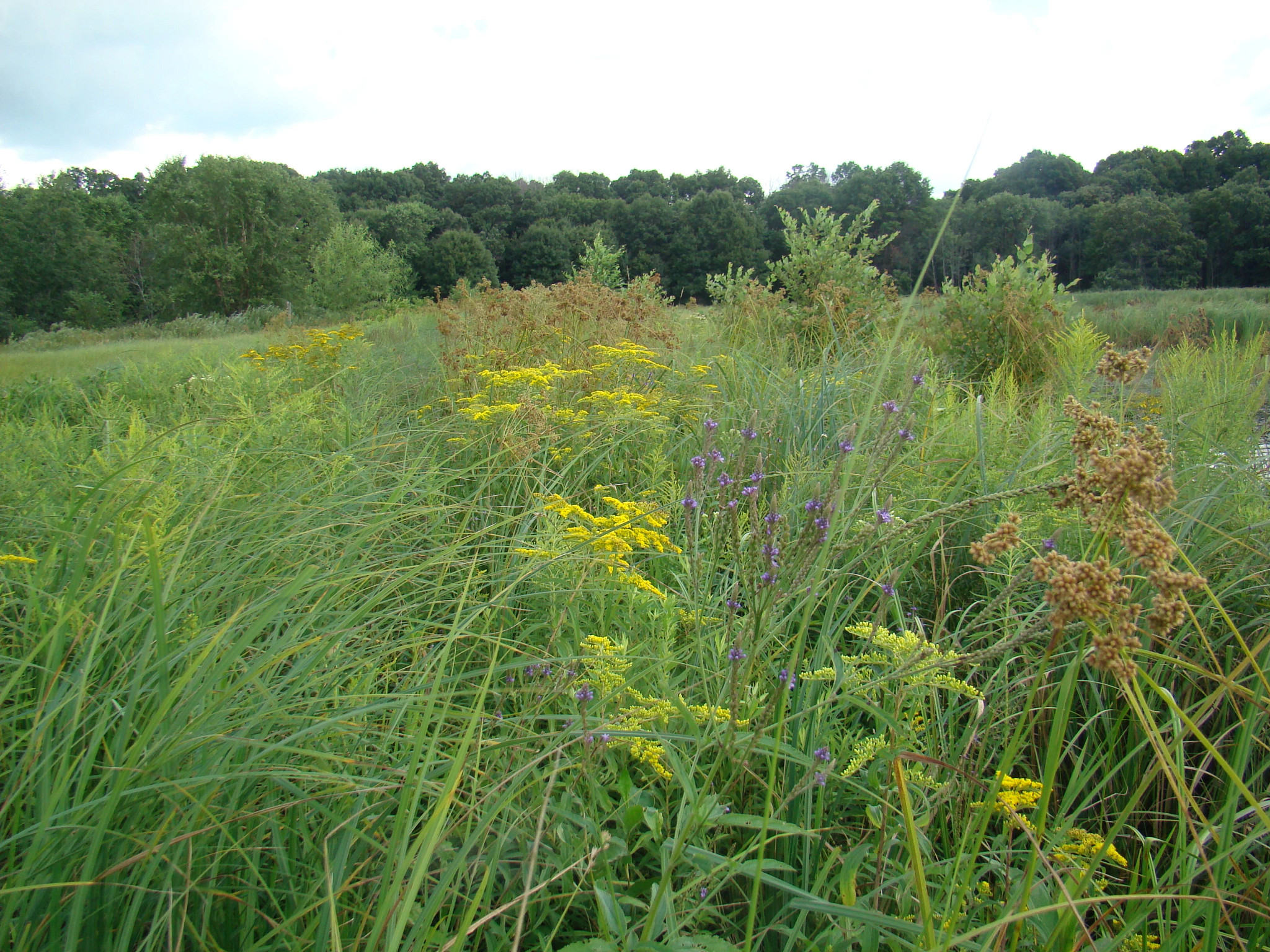 Painting On The prairie | Wisconsin DNR