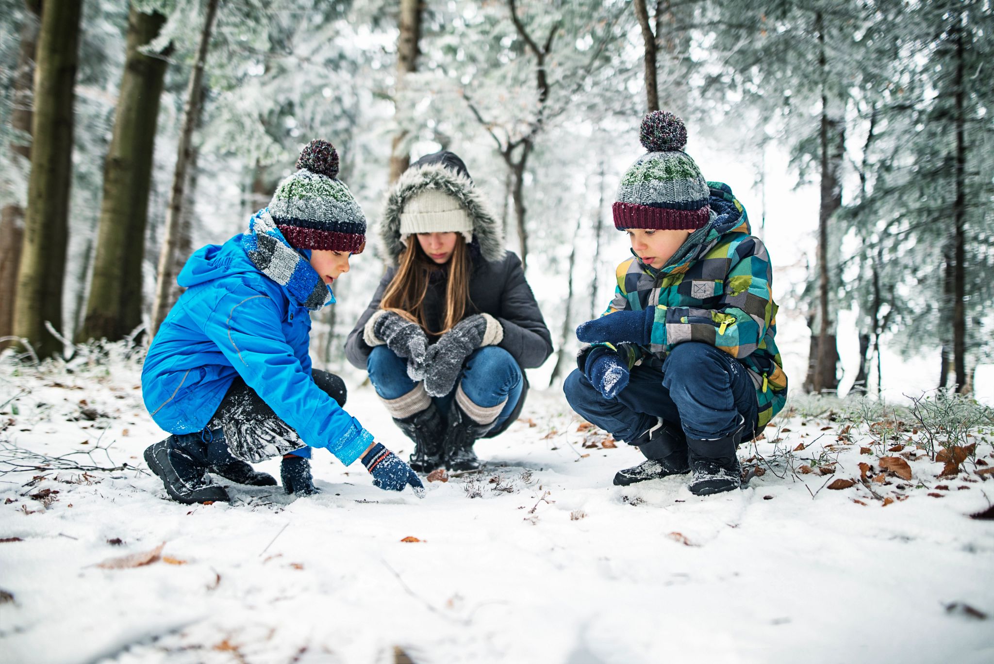 Family Hike – Winter Tracks | Wisconsin DNR