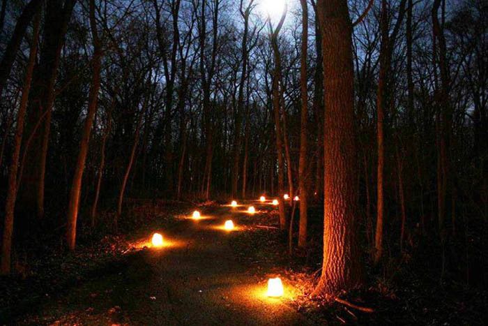 Candlelight Hike | Wisconsin DNR