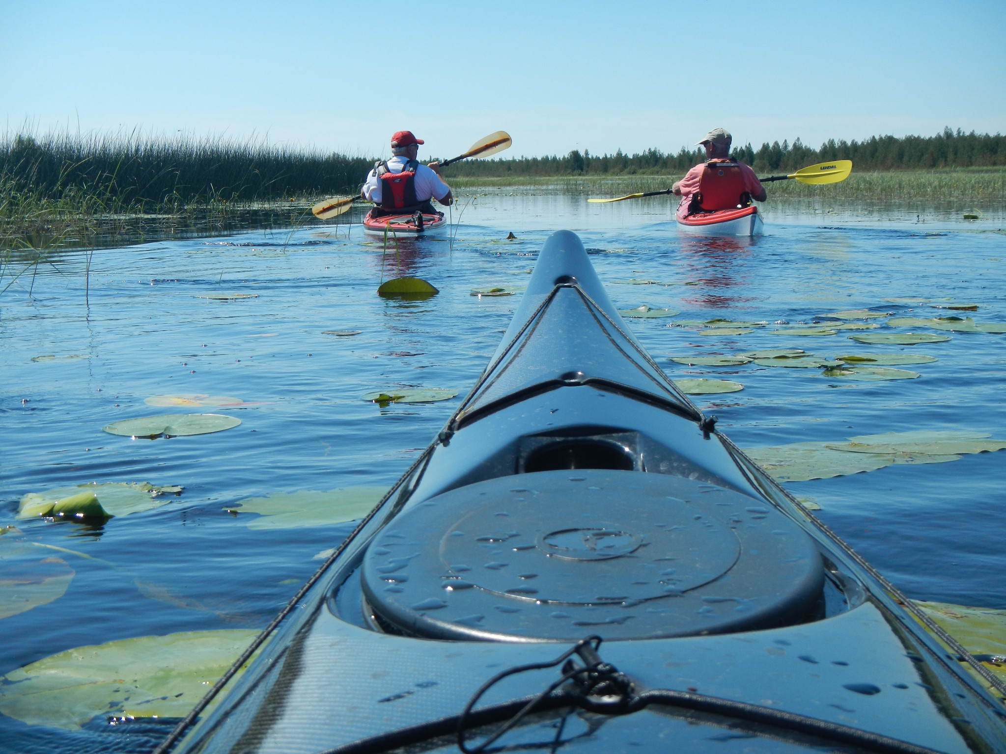 Guided Out-and-Back Paddle | Wisconsin DNR