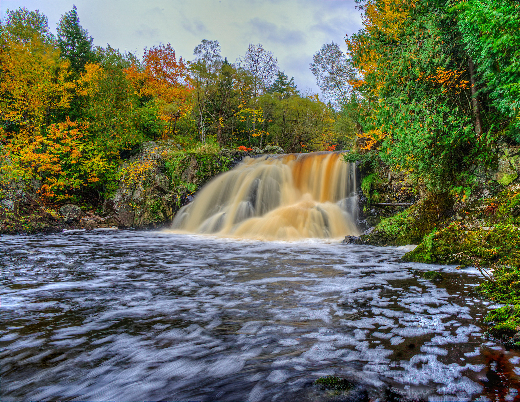 Forest Bath at the Beautiful Silverbrook Trail | Wisconsin DNR