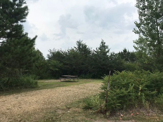 Whispered Wisdom: A Mindful Hike | Wisconsin DNR