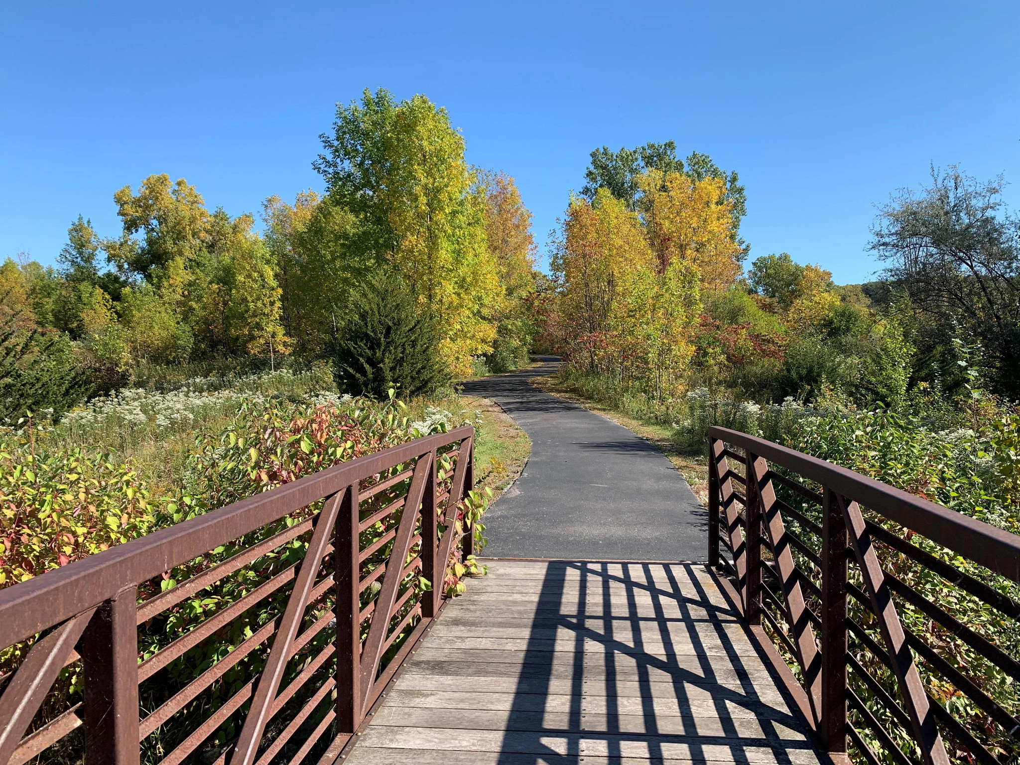 Know Your Wisconsin Trees | Wisconsin DNR