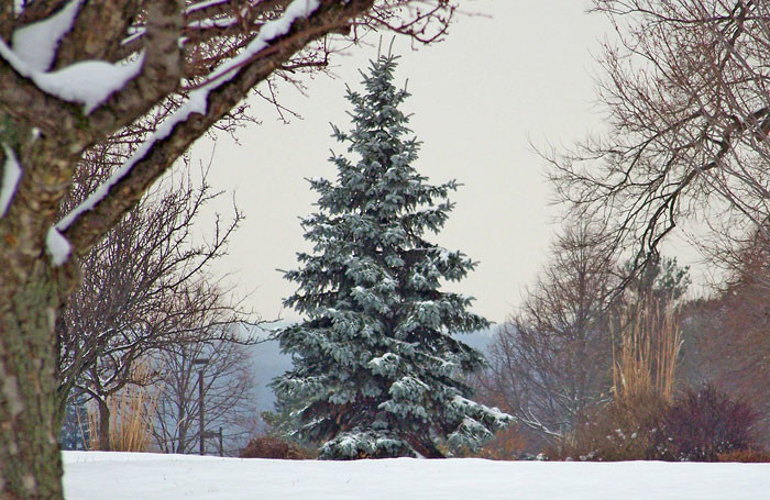 Forever Green Nature Storytime | Wisconsin DNR