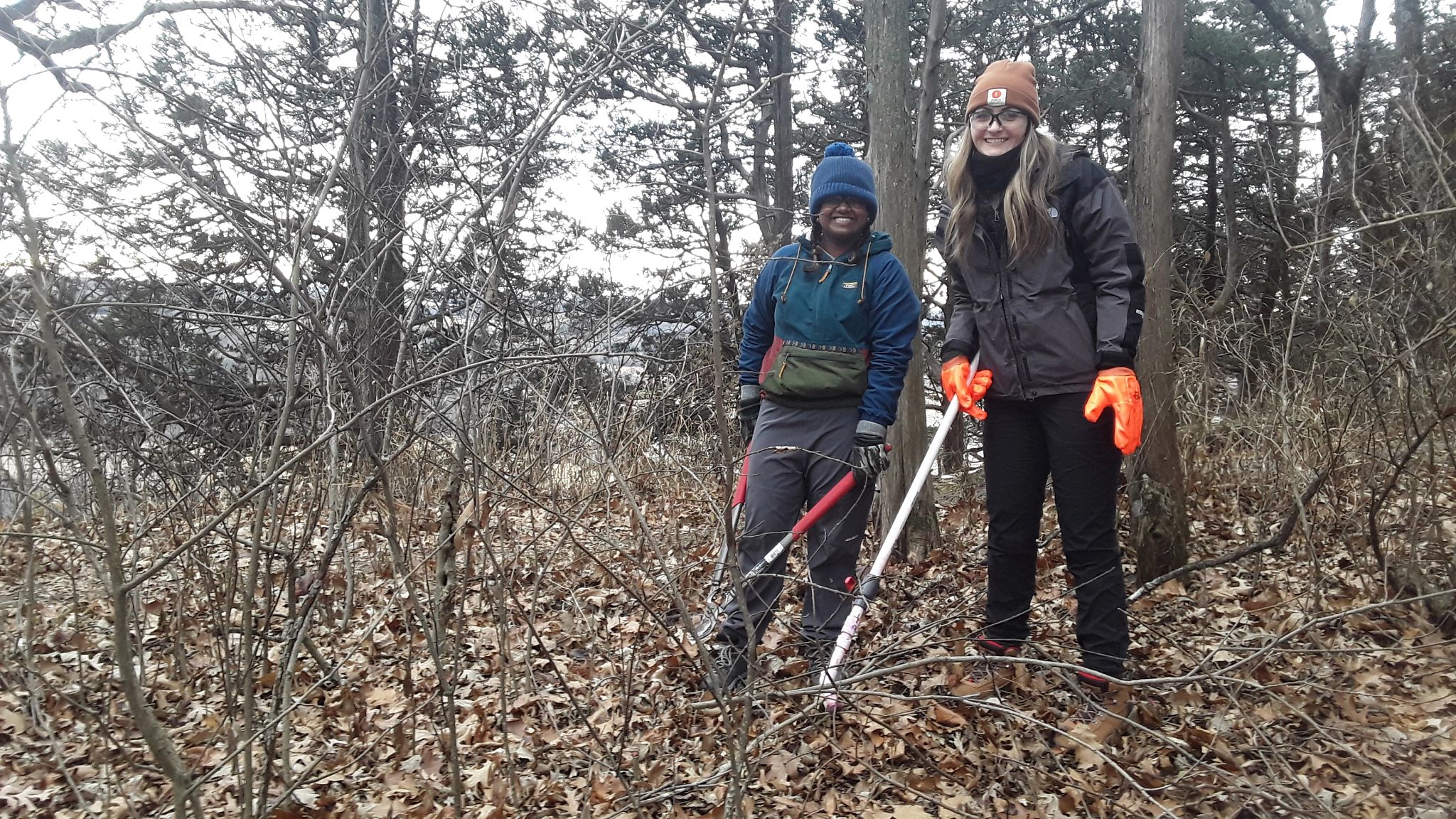 DNR Report Showcases Volunteer Contributions At State Natural Areas ...