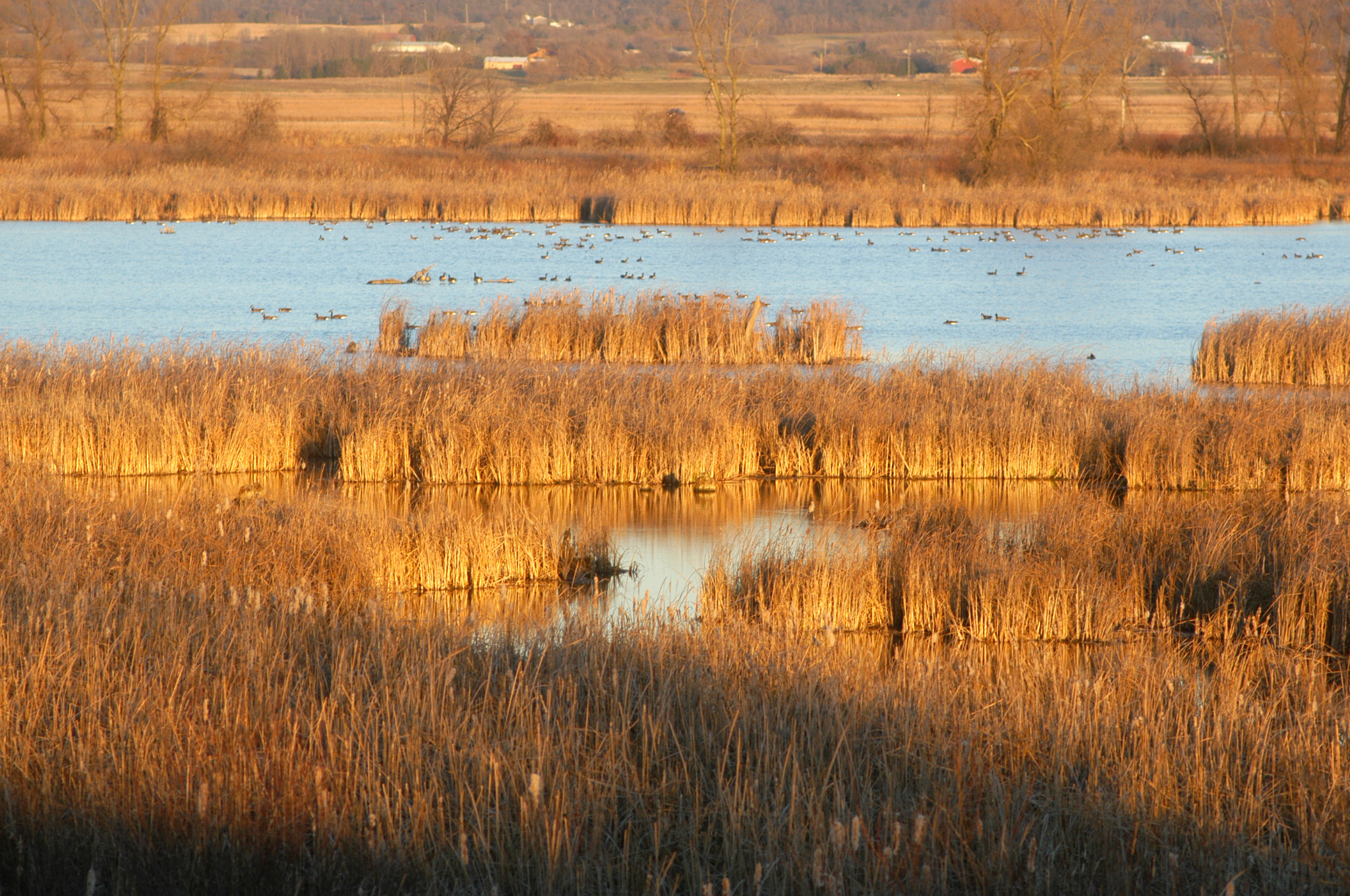 Events | Wisconsin DNR