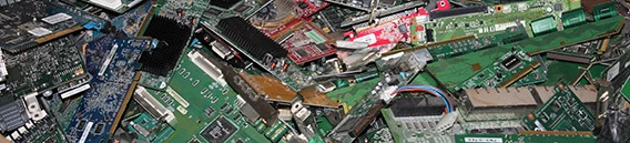 Environmental Project Ideas | What's next? Going beyond the low-hanging ...