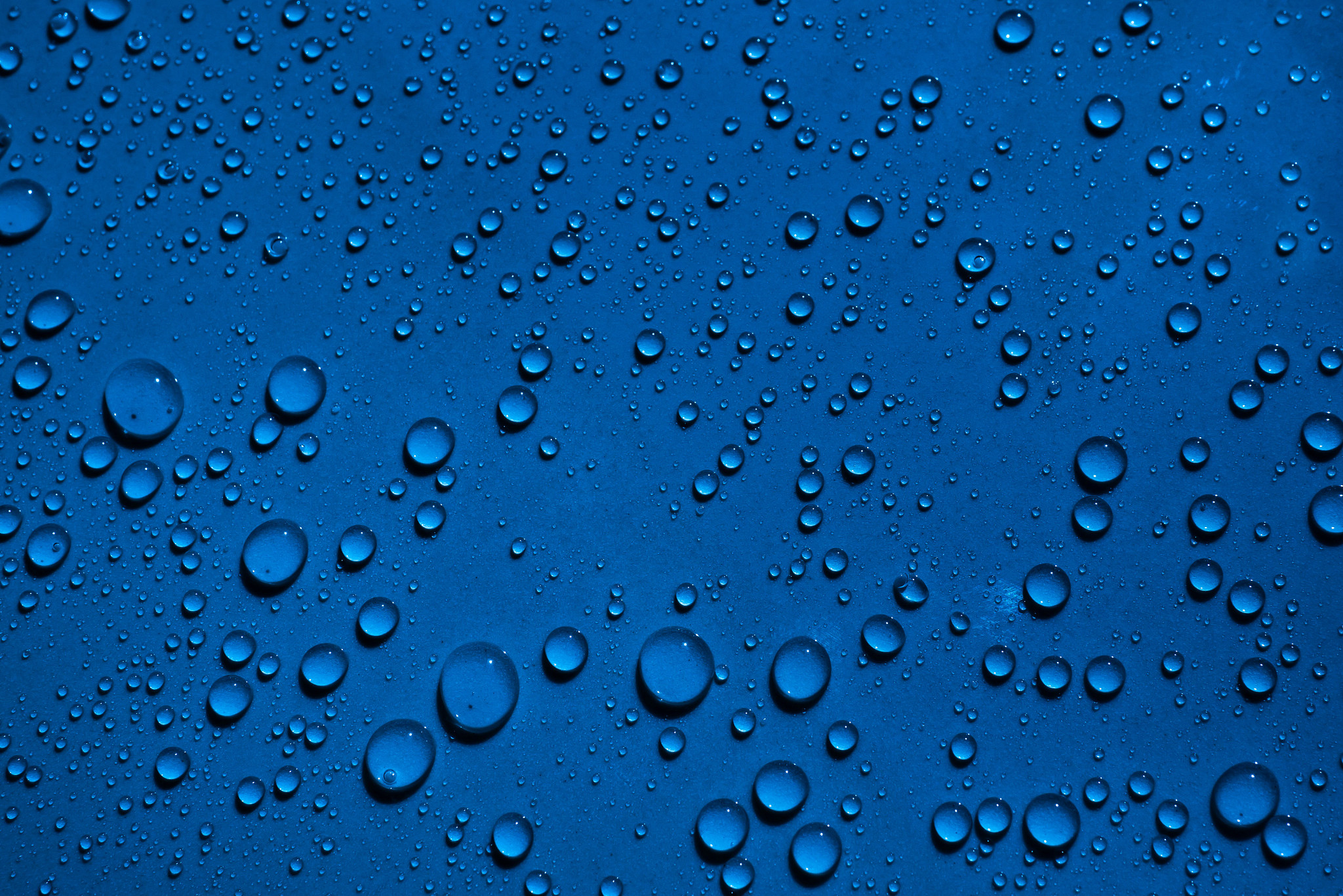 Incredible Journey Drop-in Program | Wisconsin DNR