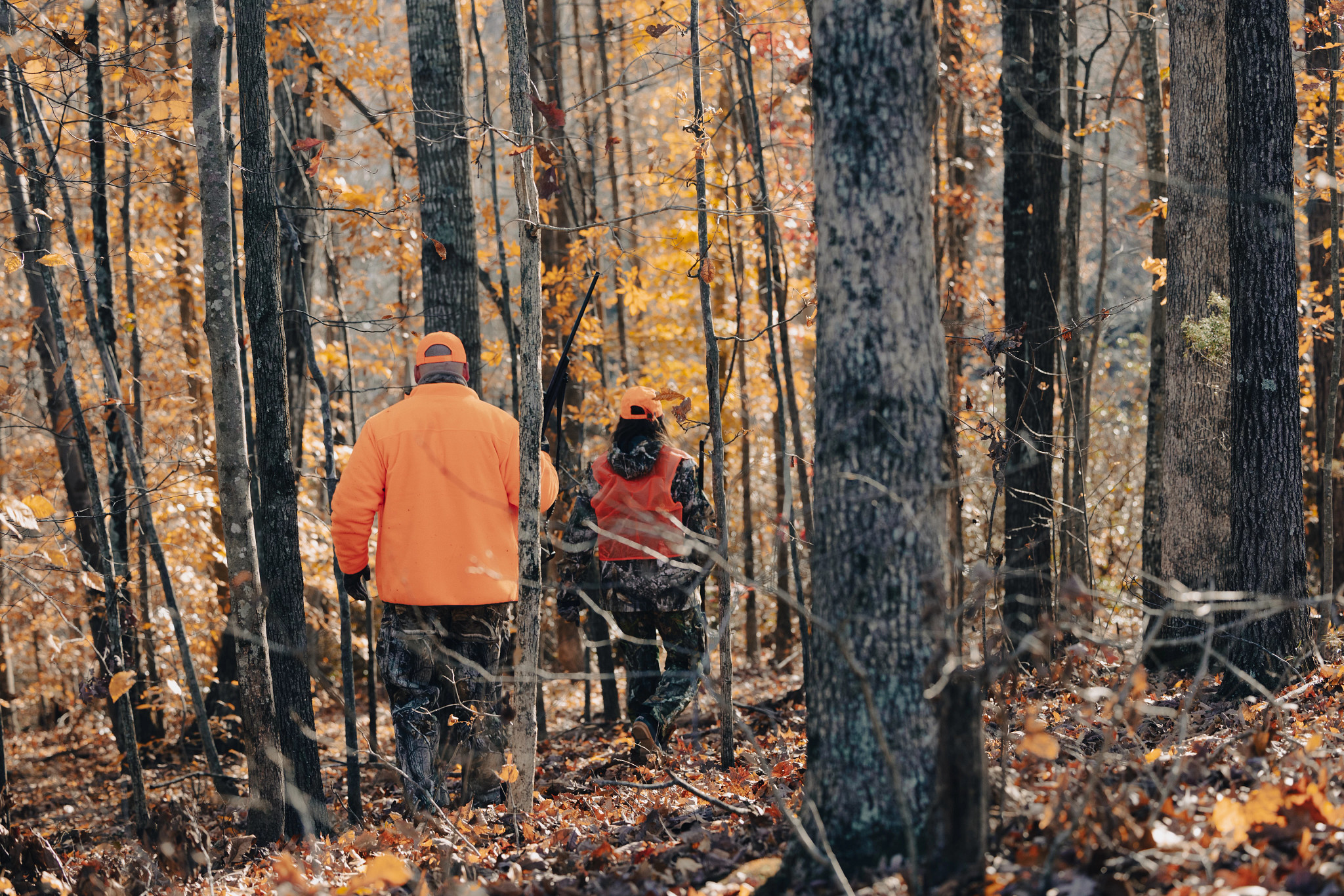 Take Advantage Of Wisconsin’s Mentored Hunting Law This Fall ...