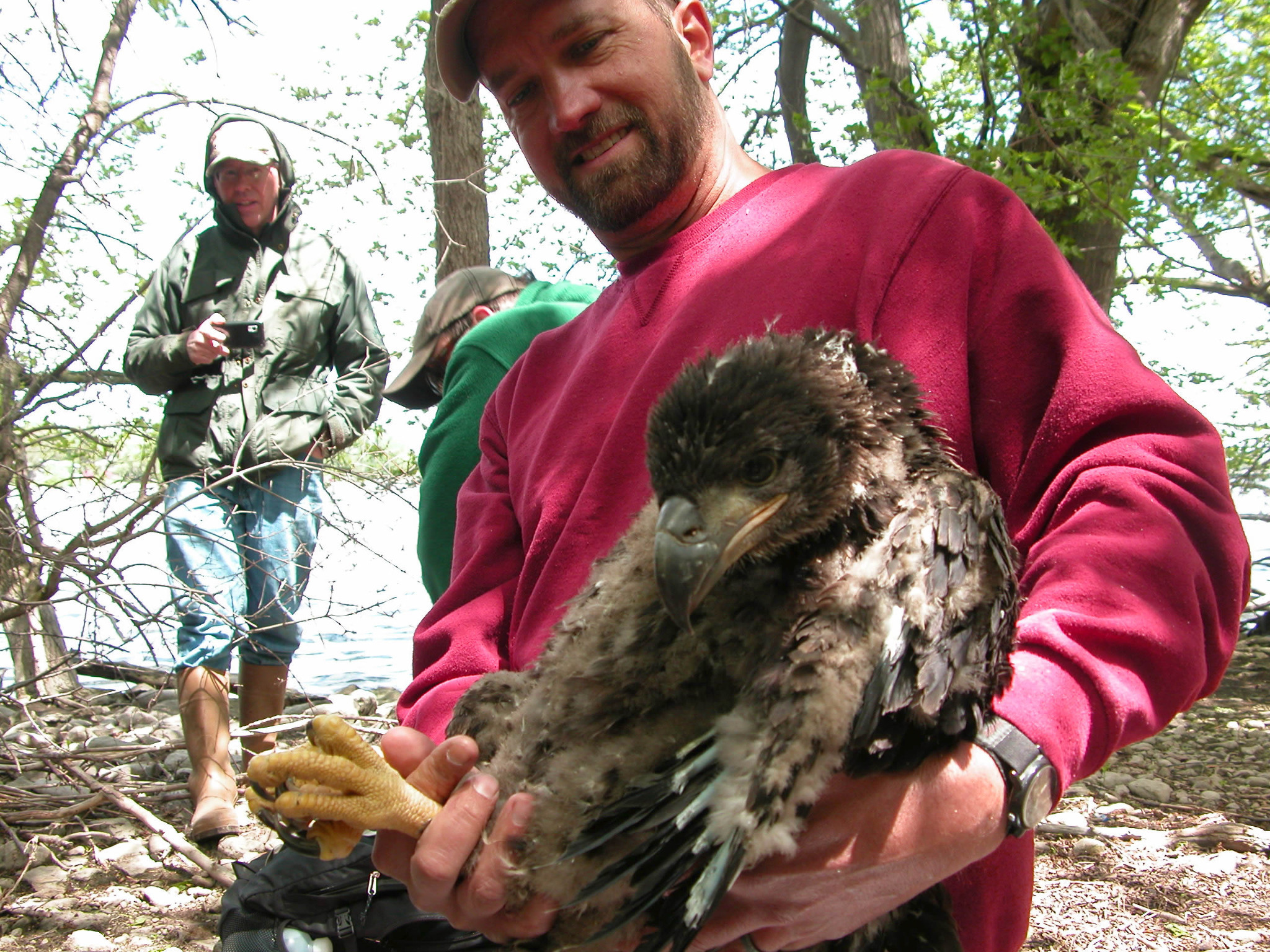 Natural Resource Careers In Wildlife - Wildlife Technician | Wisconsin DNR
