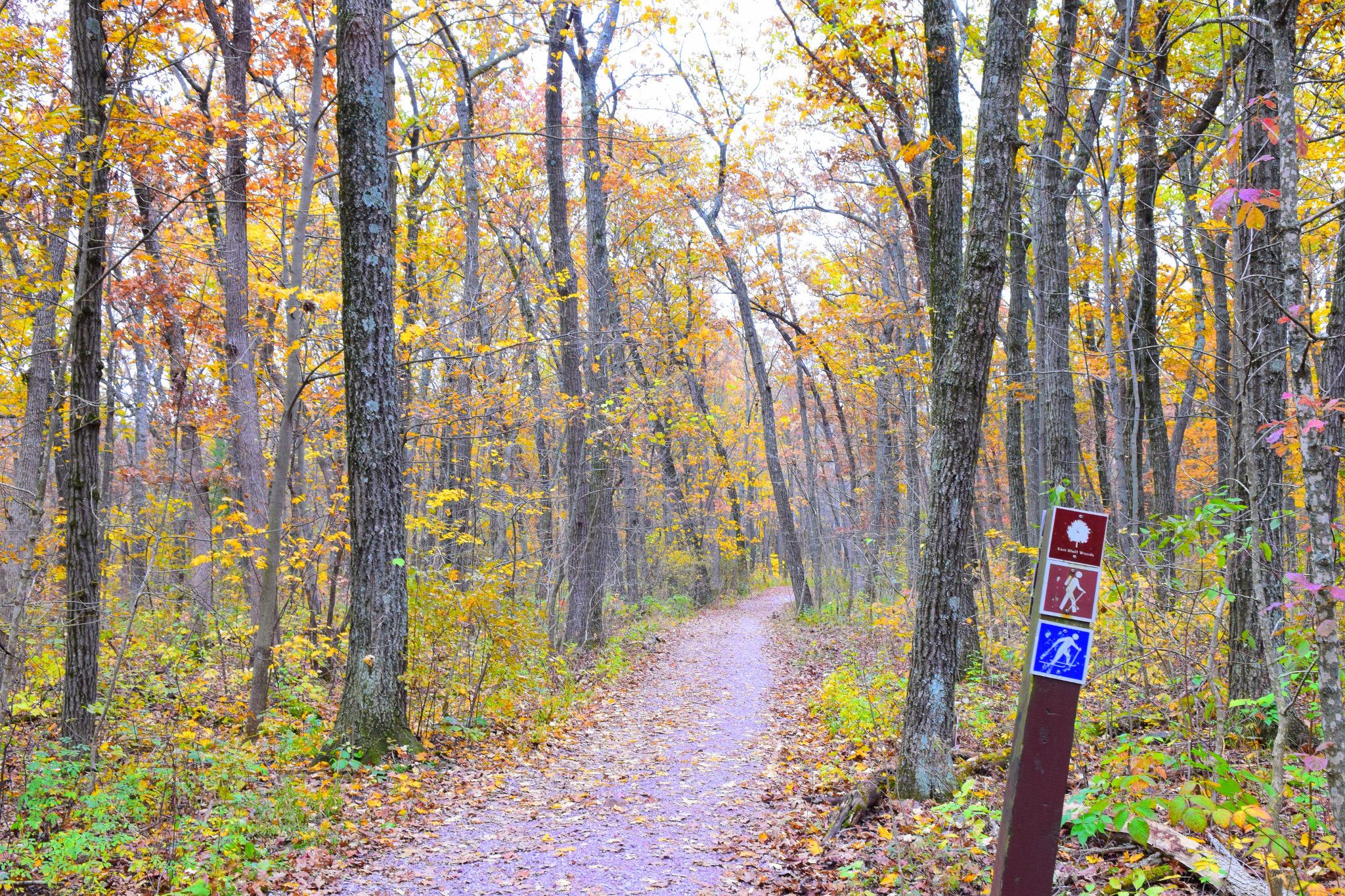 Nature Trivia Walk | Wisconsin DNR