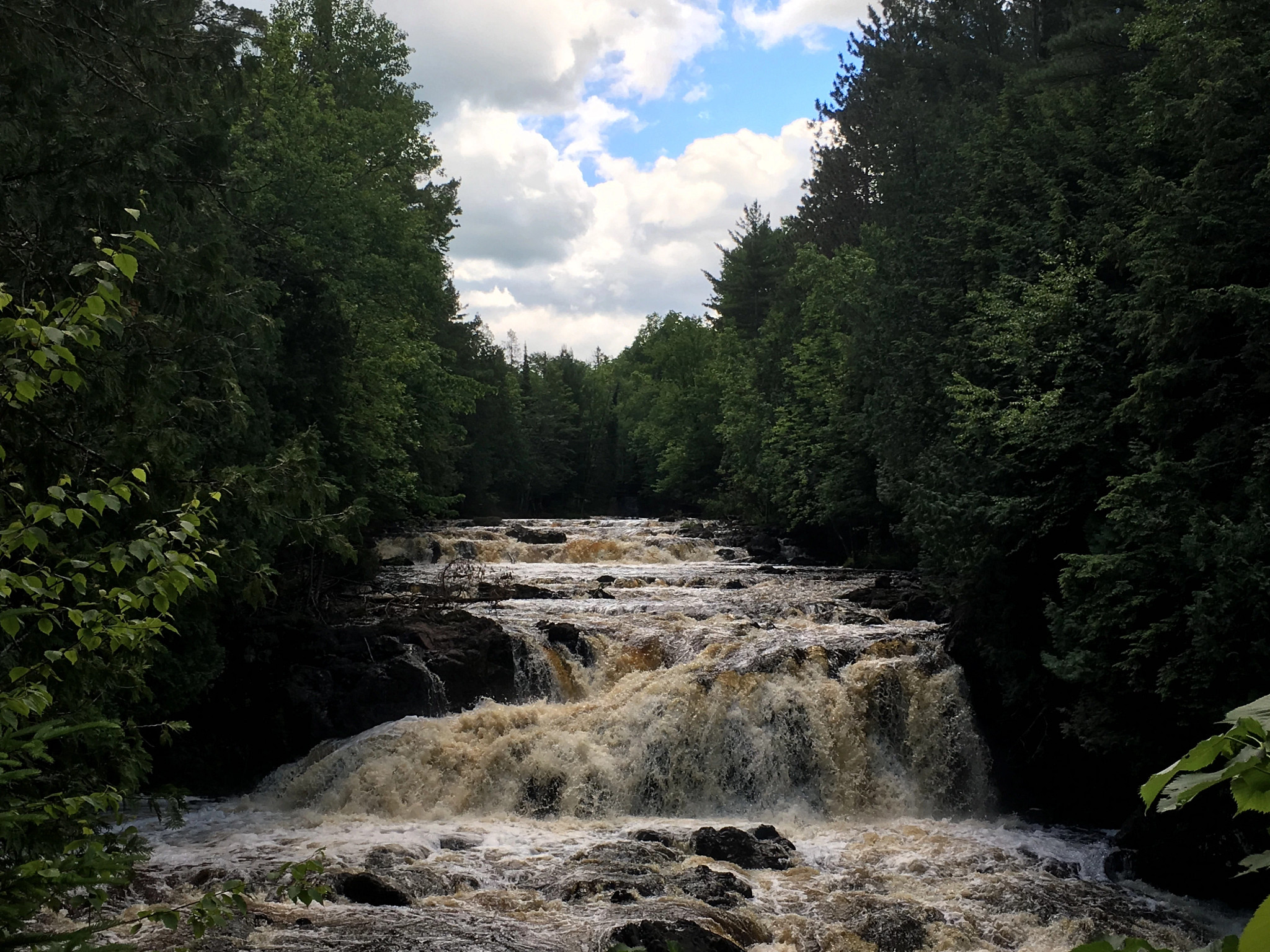 Tapping Into Spring | Wisconsin DNR