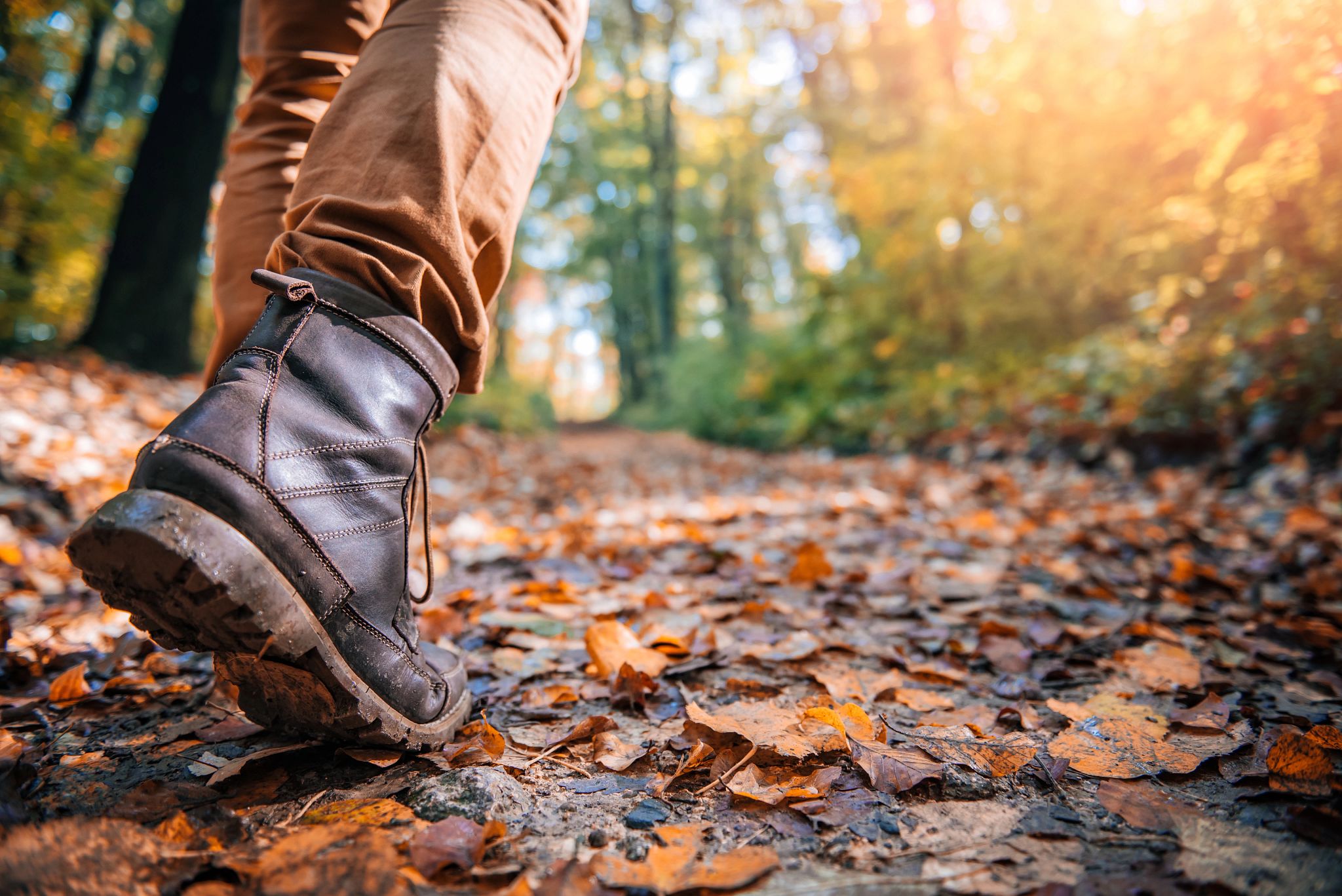 Fall Hike In The Park | Wisconsin DNR
